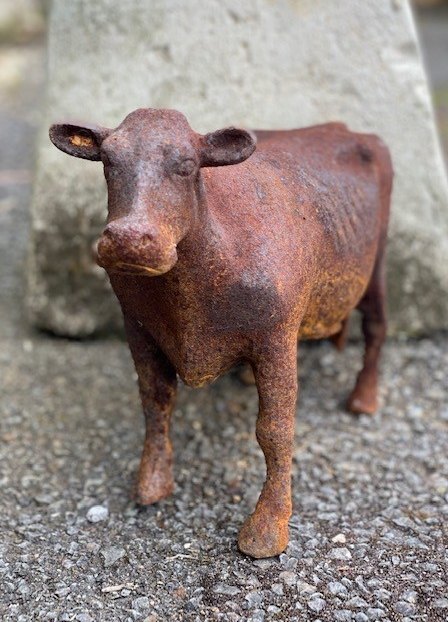 Cast iron cow - Wells Reclamation