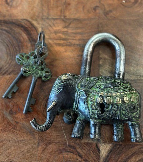 Padlocks - Wells Reclamation